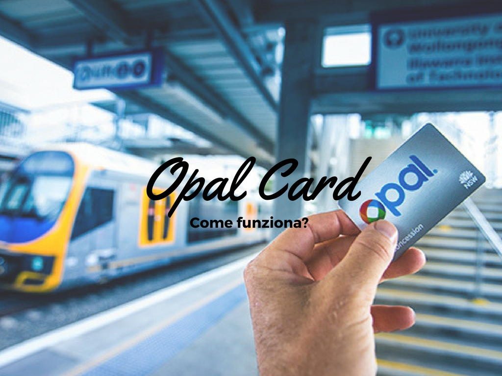 Come funziona la Opal Card? - Viaggiando A Testa Alta