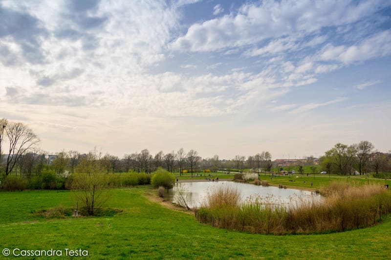 Fotografare la natura nel Parco Nord di Milano - Viaggiando A Testa Alta