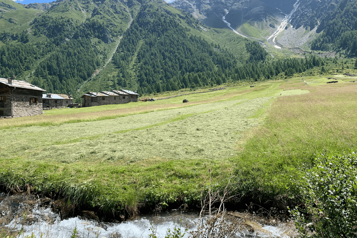 Escursione in Val di Rezzalo - Viaggiando A Testa Alta