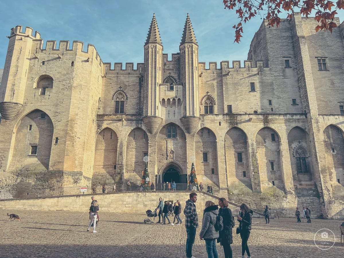 Cosa Vedere ad Avignone: i 13 Luoghi Migliori da Non Perdere ...